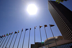 Home | African Union International Centre for Girls’ and Women’s ...